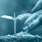 Loyder - Essere Group